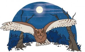 Owl and Woodpecker – A Navajo Tale